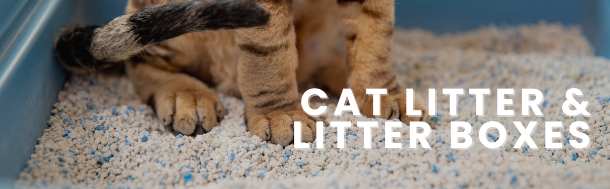 Cat Litter & Litter Boxes – Shoppers Spot